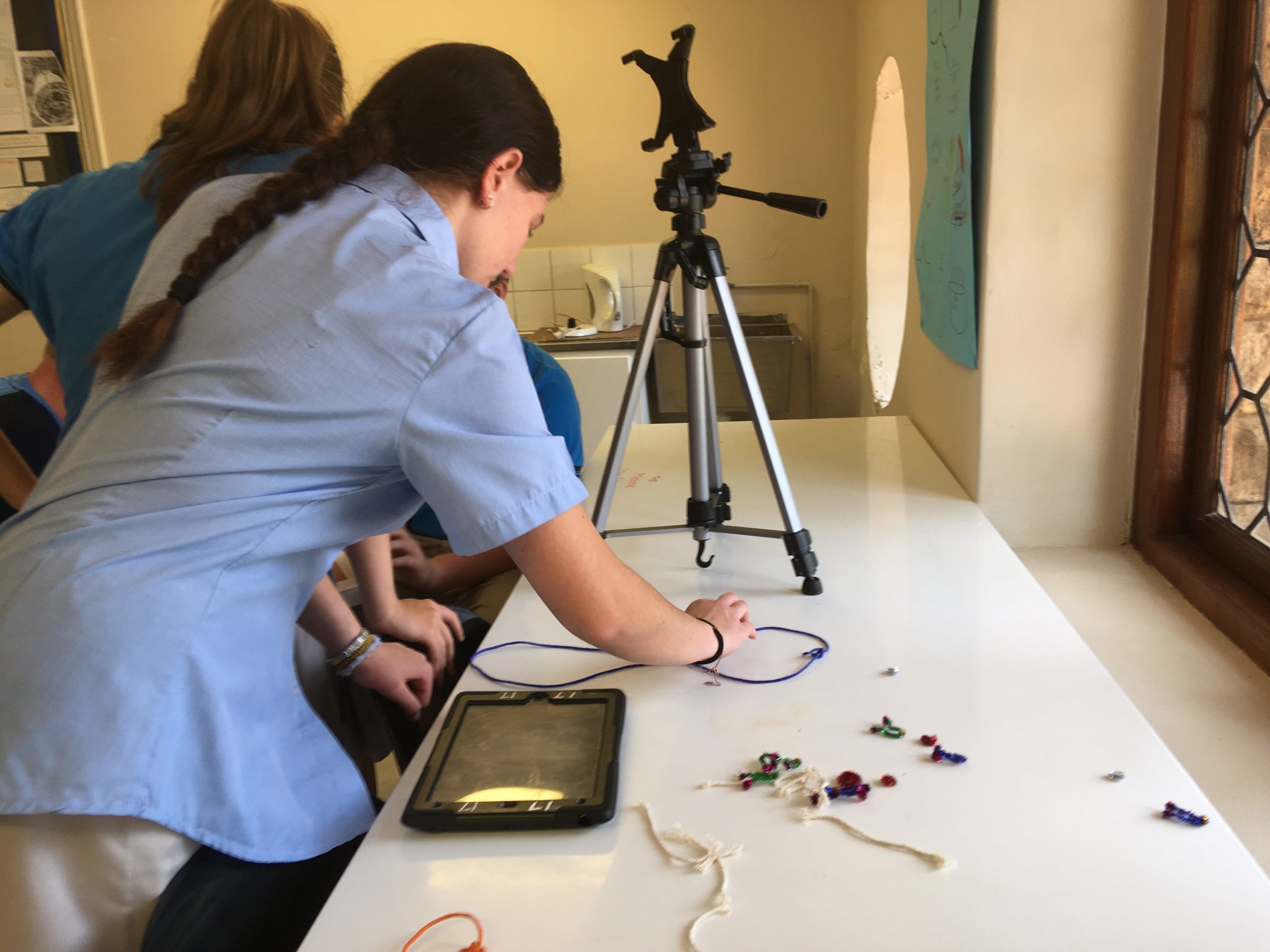 Mitotic Cell Cycle Animation – Phocus3