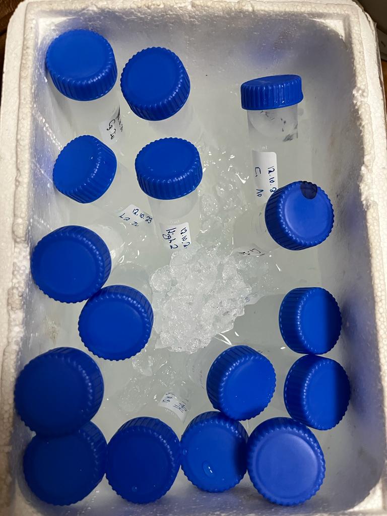 Cambridge Science Competition – Phocus3